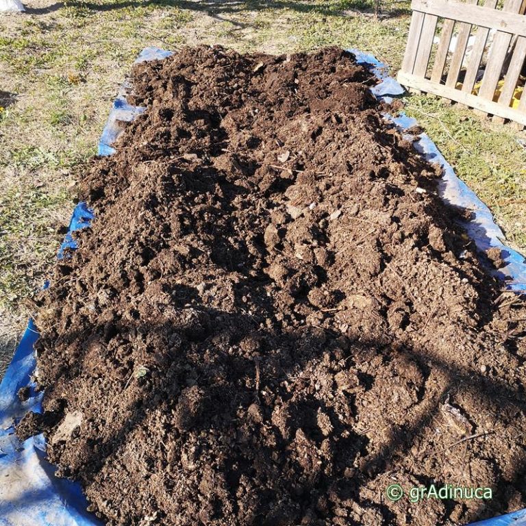 Despre compost – “aurul” din gradina mea | grAdinuca.ro