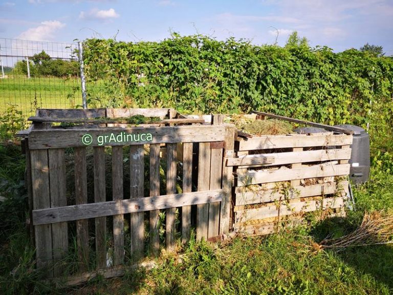 Despre compost – “aurul” din gradina mea | grAdinuca.ro